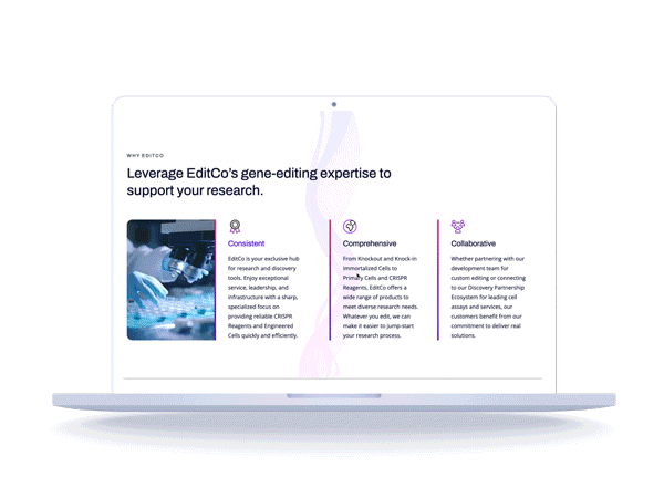 Web Design: EditCo Bio | SmartBug Media®